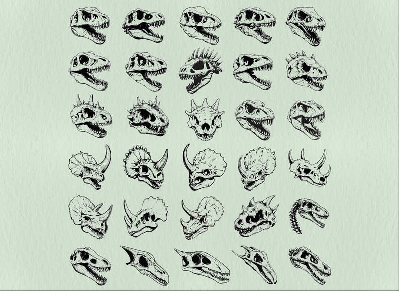 Dinosaur Fossils SVG | Prehistoric Dinosaur Bones | Museum Jurassic ...