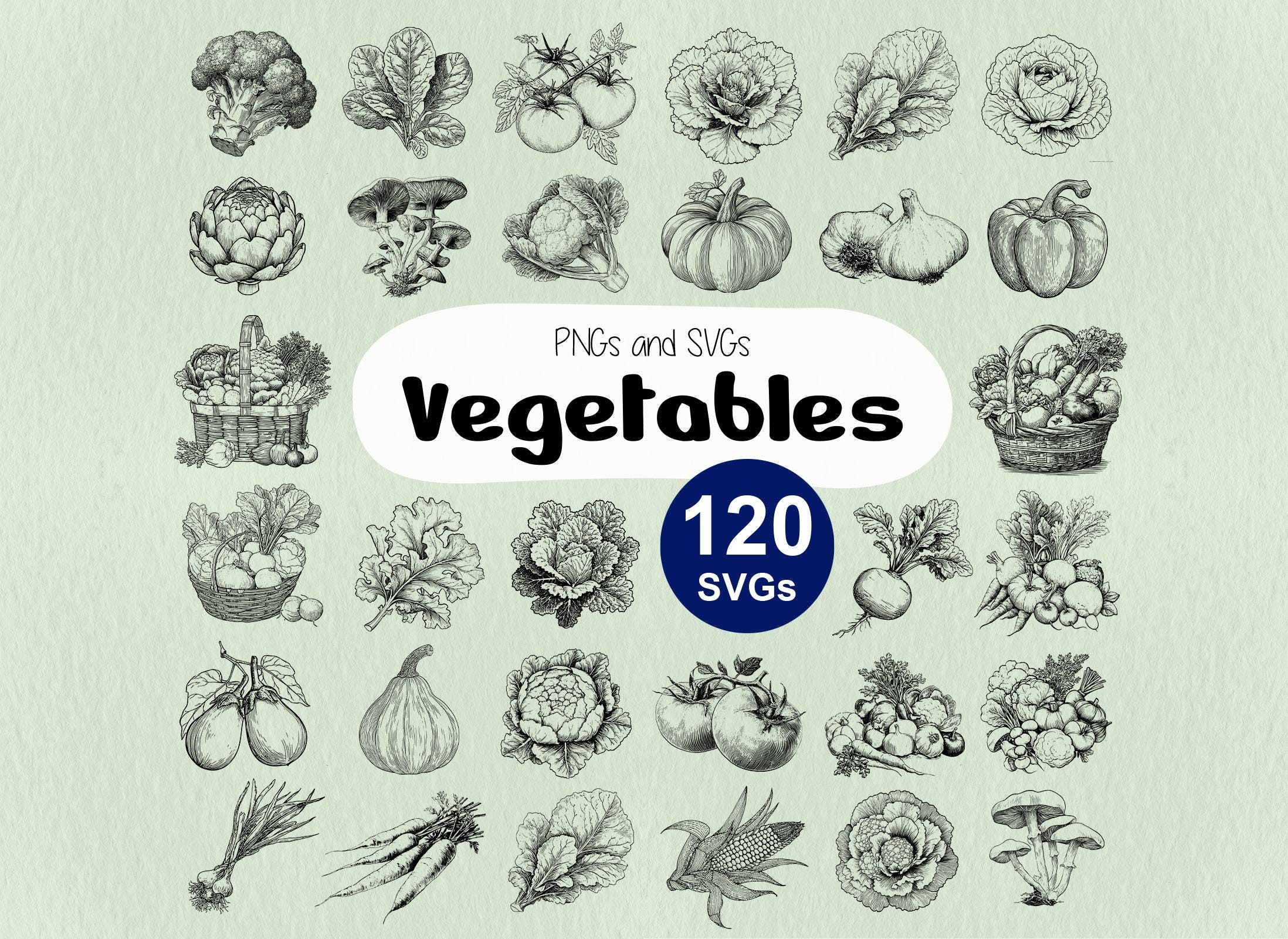 Vegetable SVG Bundle: Organic Farm Produce, Vegetables Vector File ...