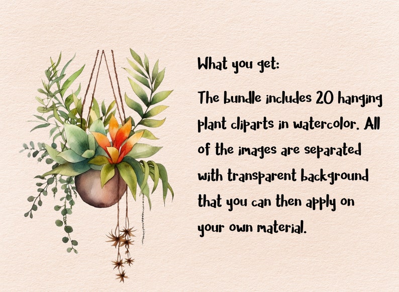 Hanging Plants Clipart, Potted Plant Clipart, Hanging Garden PNG ...