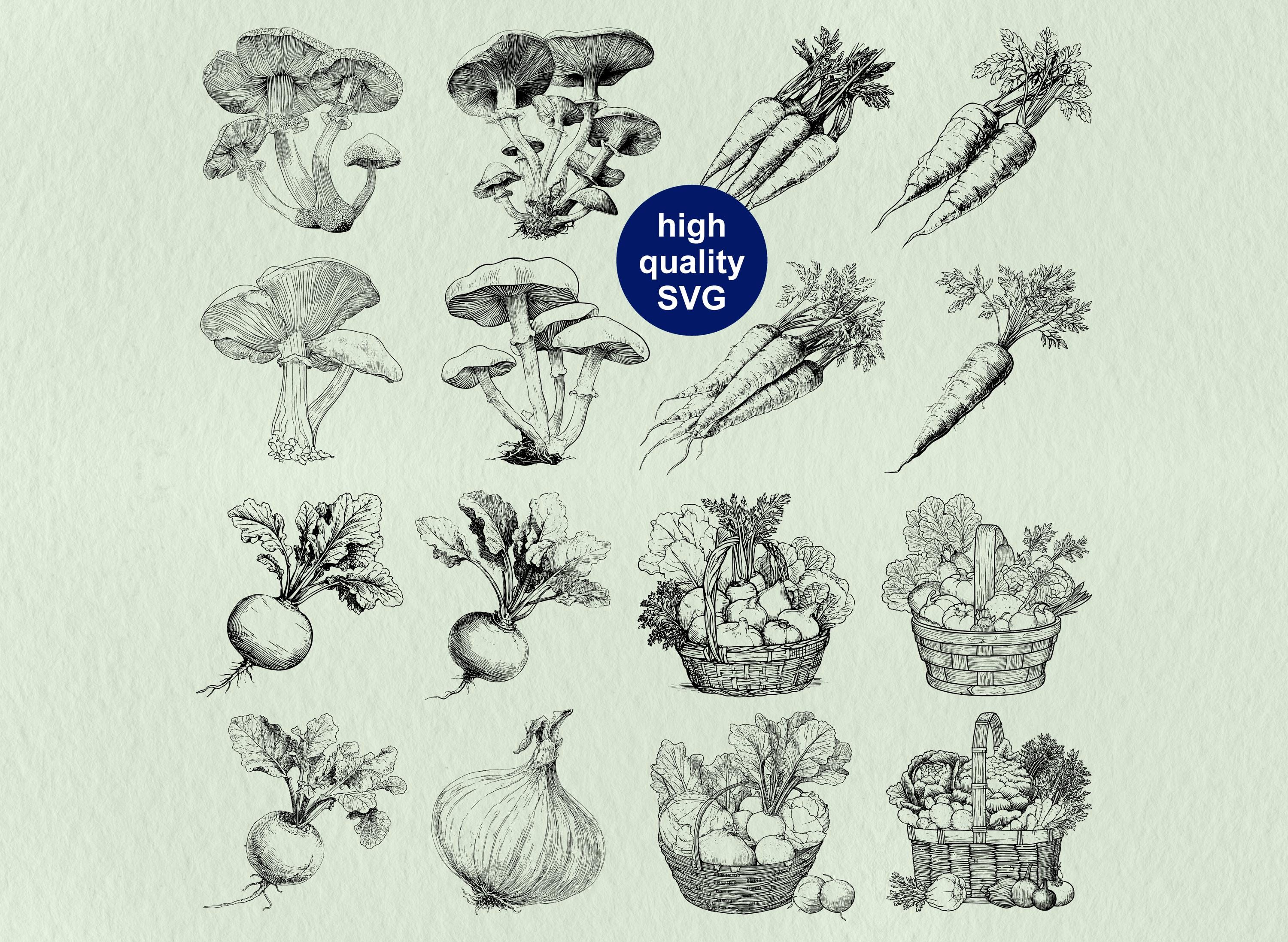 Fresh Vegetables SVG: Veggies Clipart, Vegetable Vector File, Fresh ...