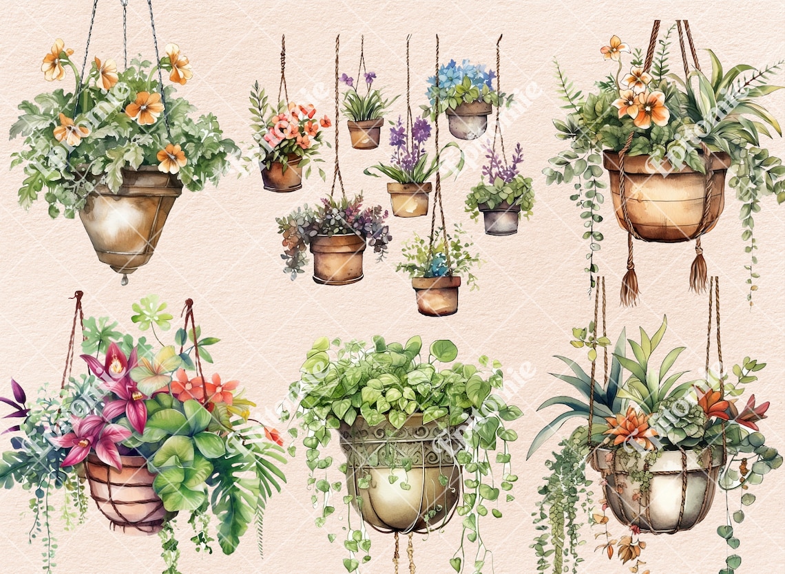 Hanging Plants Clipart, Potted Plant Clipart, Hanging Garden PNG ...