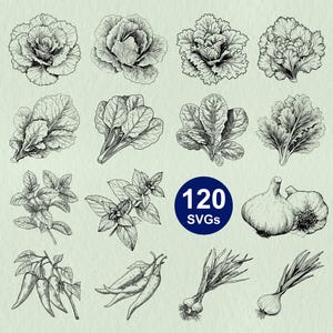 Fresh Vegetables SVG: Veggies Clipart, Vegetable Vector File, Fresh ...