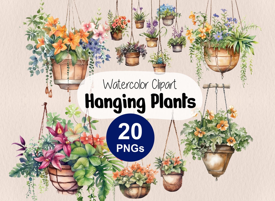 Hanging Plants Clipart, Potted Plant Clipart, Hanging Garden PNG ...