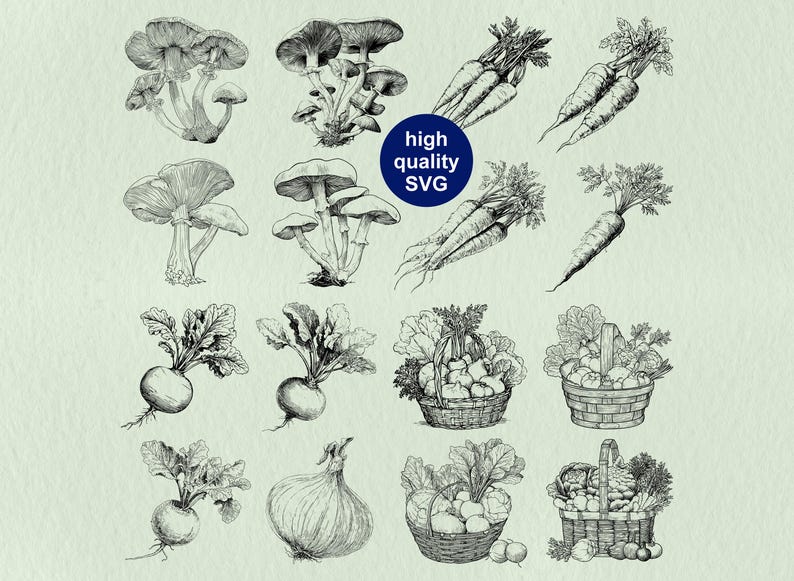 Vegetable SVG Bundle: Organic Farm Produce, Vegetables Vector File ...