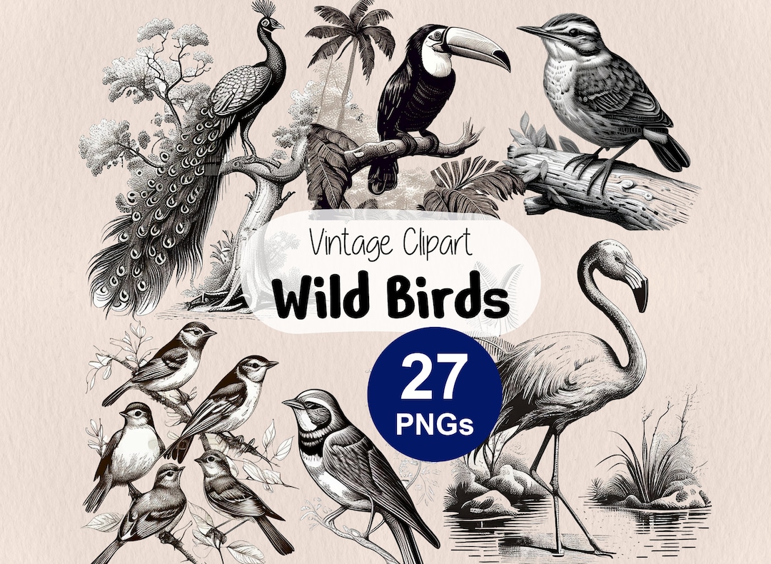 Vintage Bird Clipart, Vintage Bird Prints, Vintage Animal Prints ...