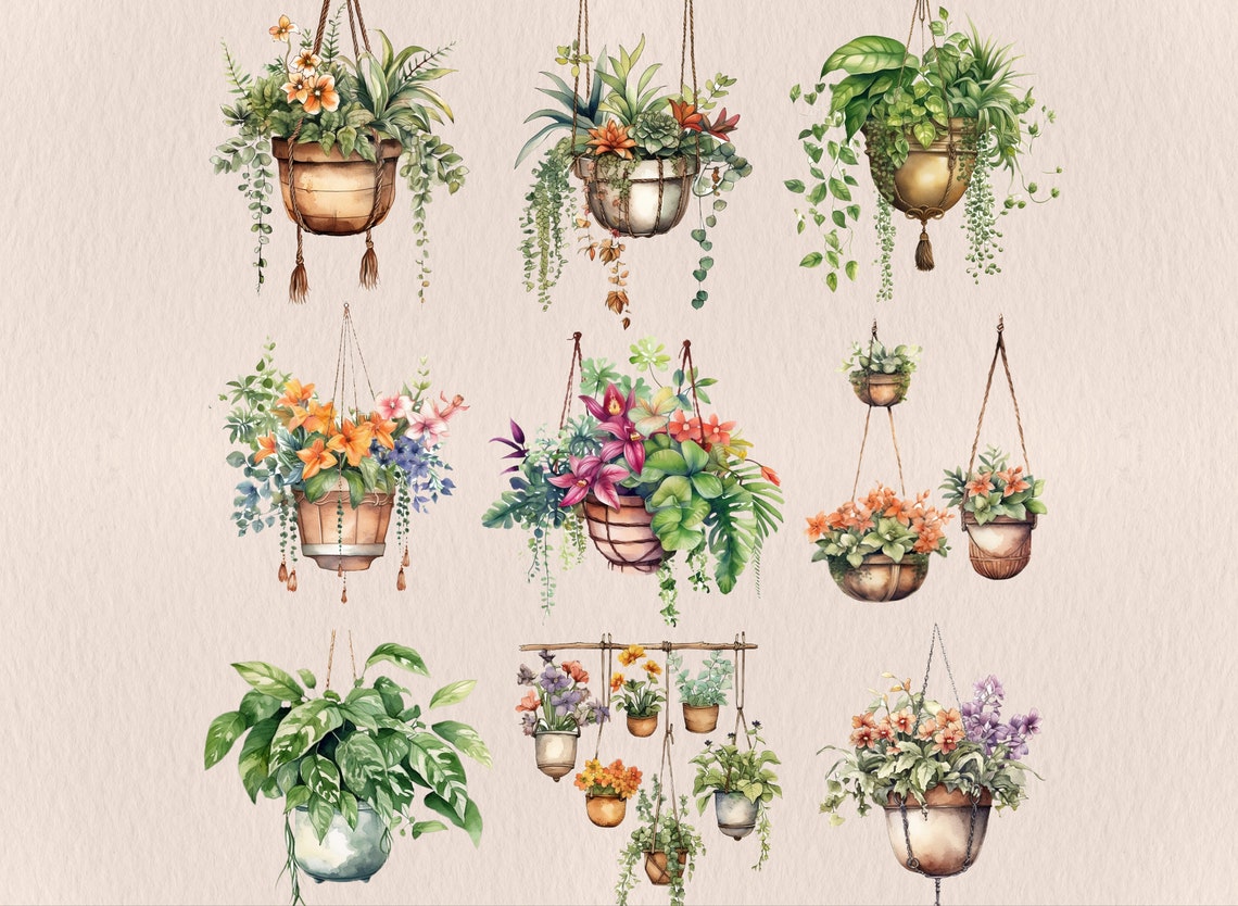 Hanging Plants Clipart, Potted Plant Clipart, Hanging Garden PNG ...