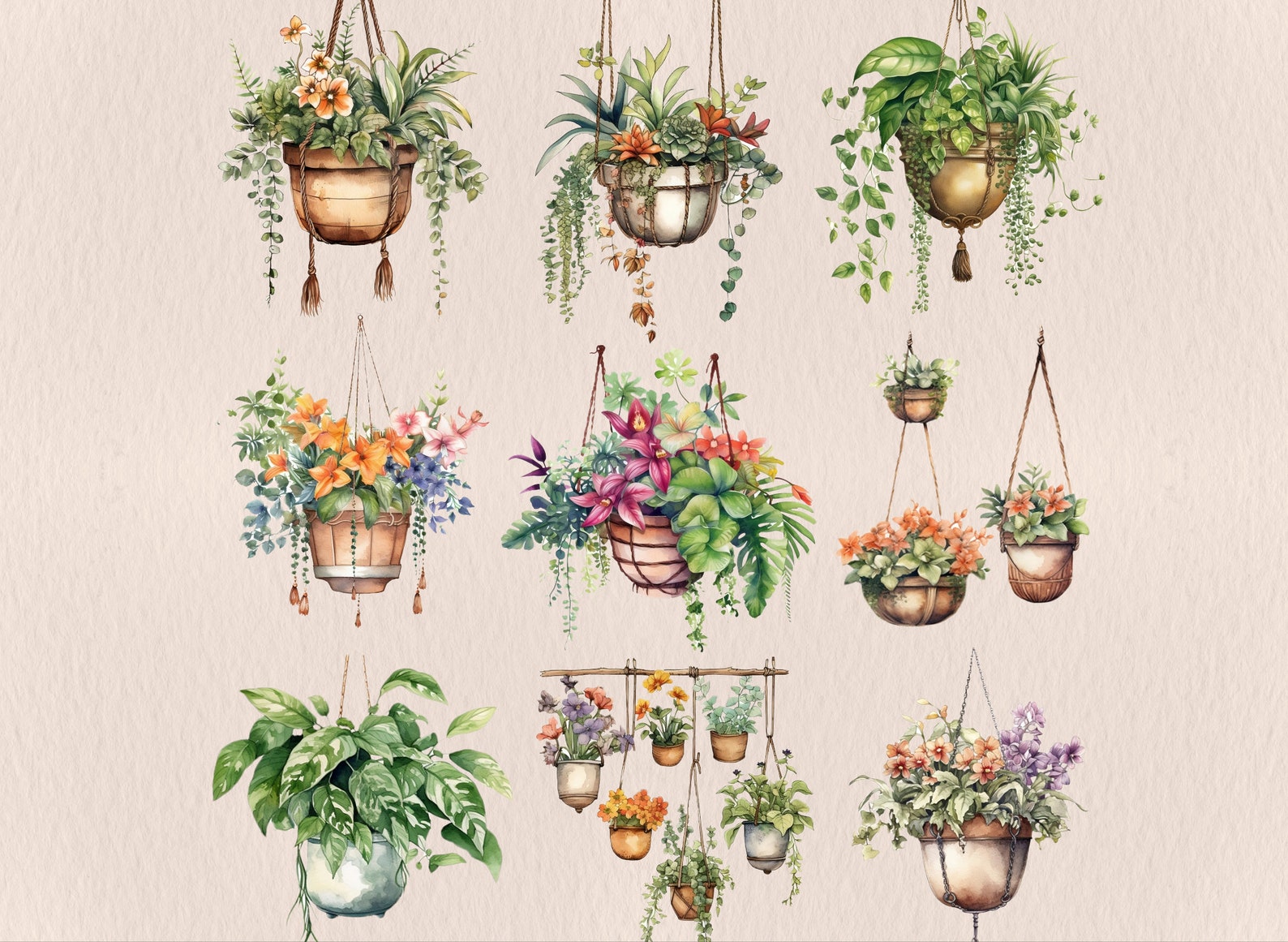 Hanging Plants Clipart, Potted Plant Clipart, Hanging Garden PNG ...