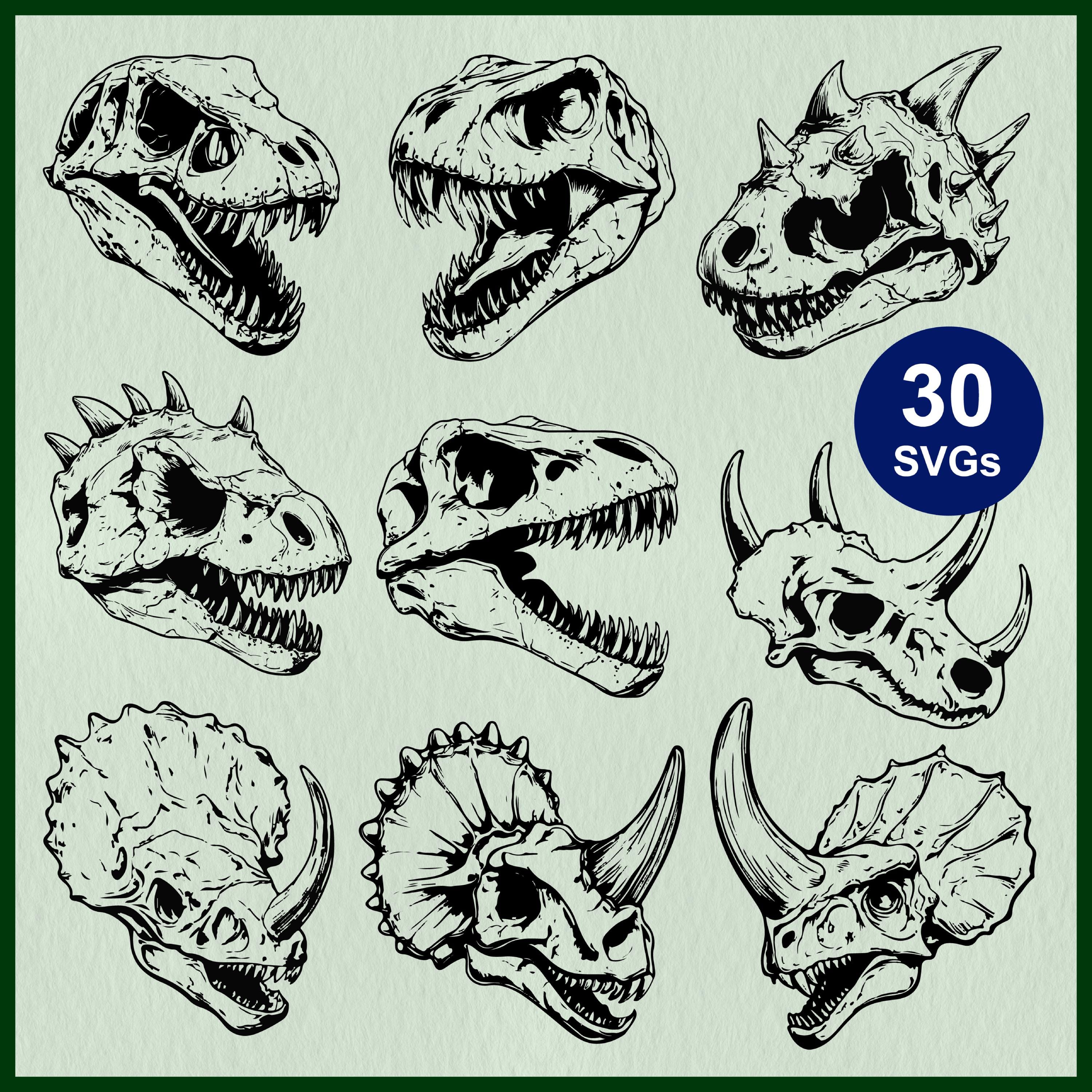 High Quality Dinosaur Fossils SVG, Dinosaur Bones Cricut, T Rex Skulls ...