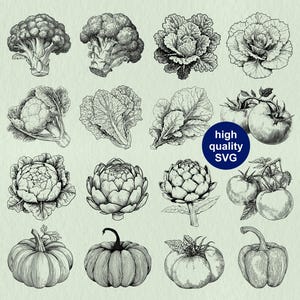 Vegetable SVG Bundle: Organic Farm Produce, Vegetables Vector File ...