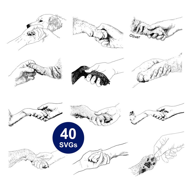Pet Paw Hand Holding SVG: 40 Dog and Cat Hand Holding Clipart, Insert ...