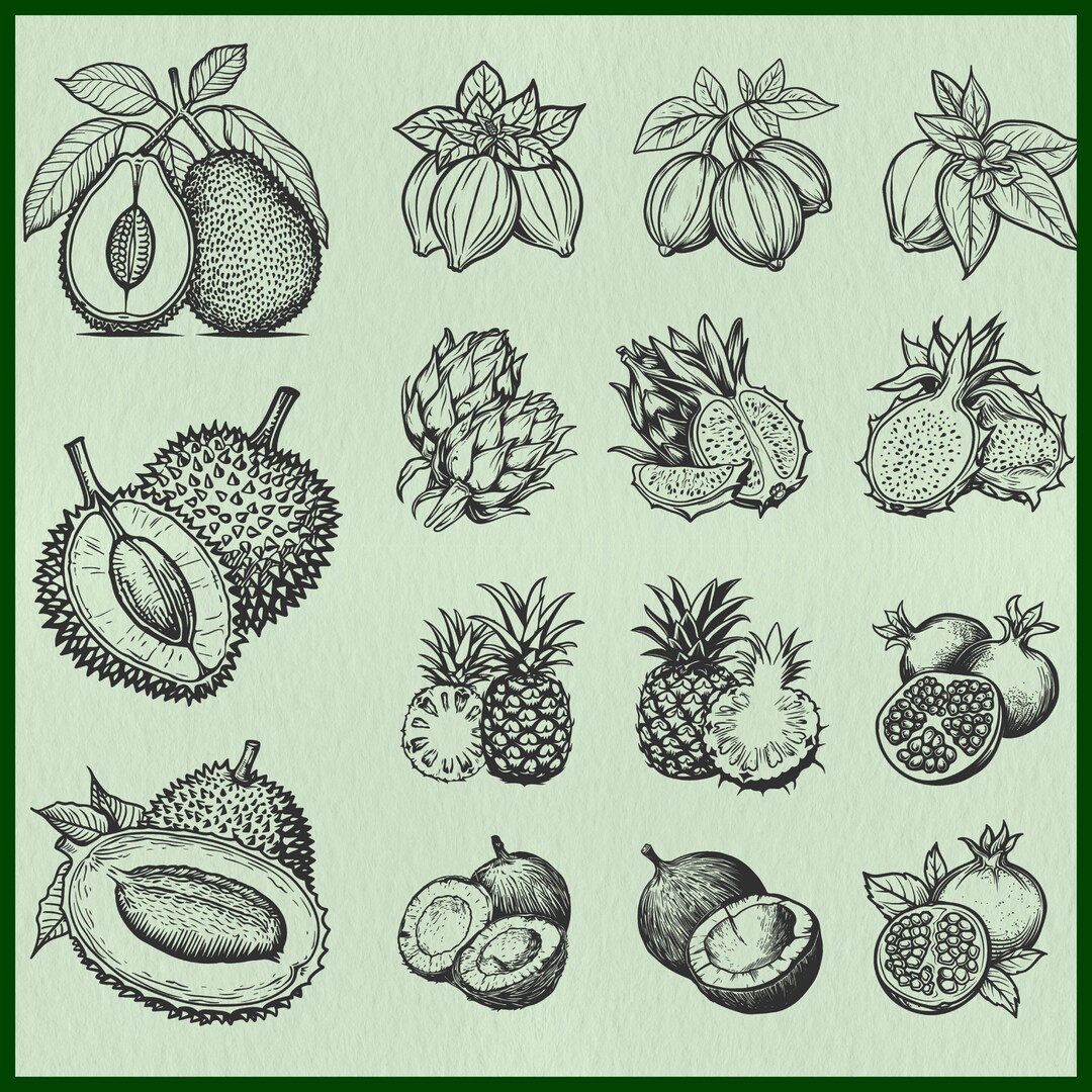 Tropical Fruits SVG, Rare Fruits Cricut, Jackfruit Stencil, Durian ...