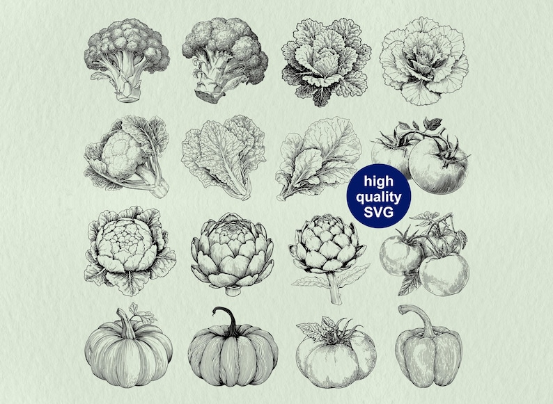 Fresh Vegetables SVG: Veggies Clipart, Vegetable Vector File, Fresh ...
