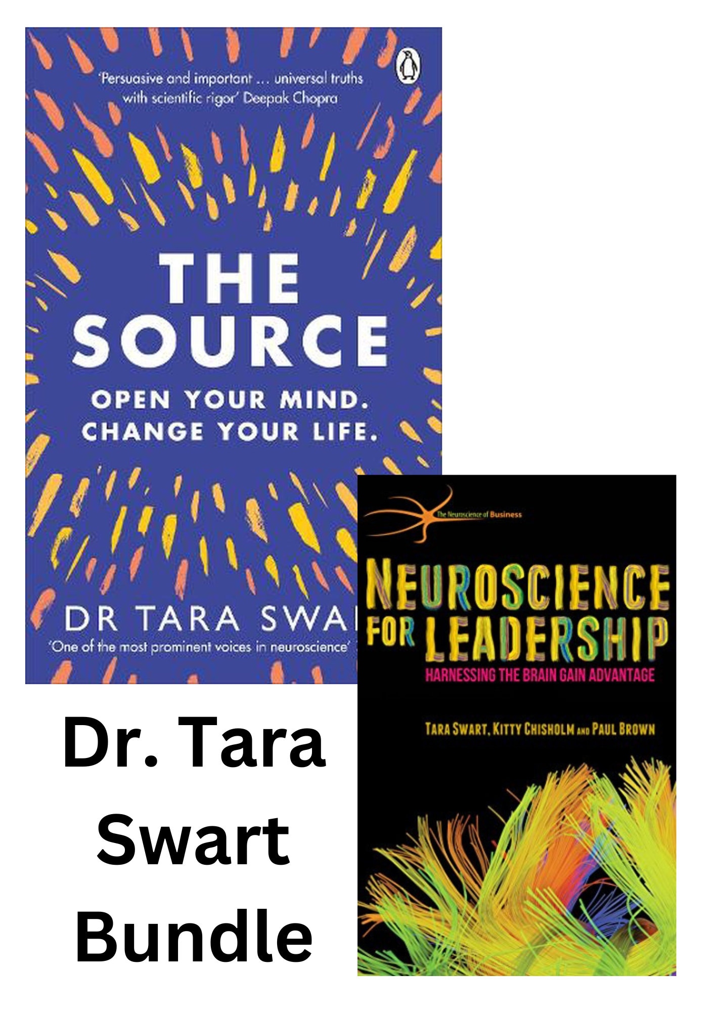 The Source, Tara Swart, Neuroscience for Leadership, Thought Leadership ...