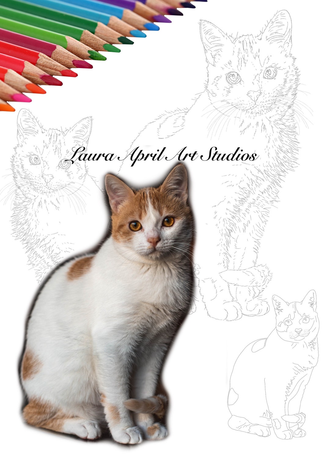 Cat Fine Art X 5 Pack Printable Colouring Page - Etsy