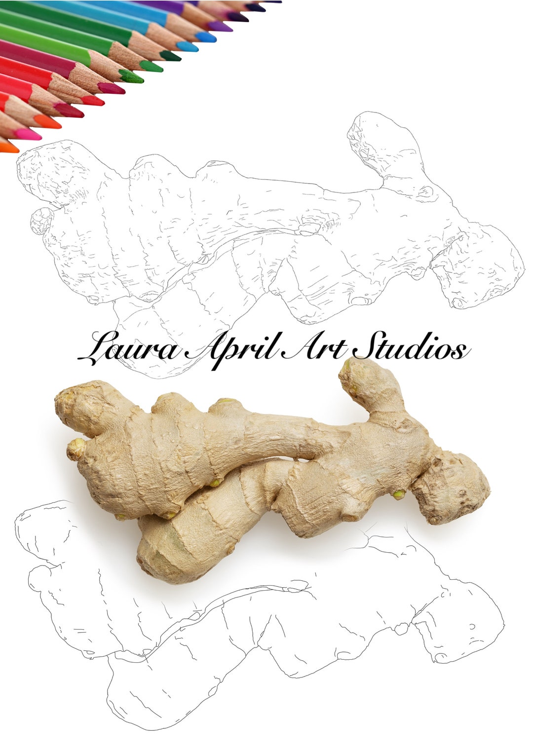 Root Ginger Fine Art X 5 Pack Colouring Pages Digital Prints - Etsy