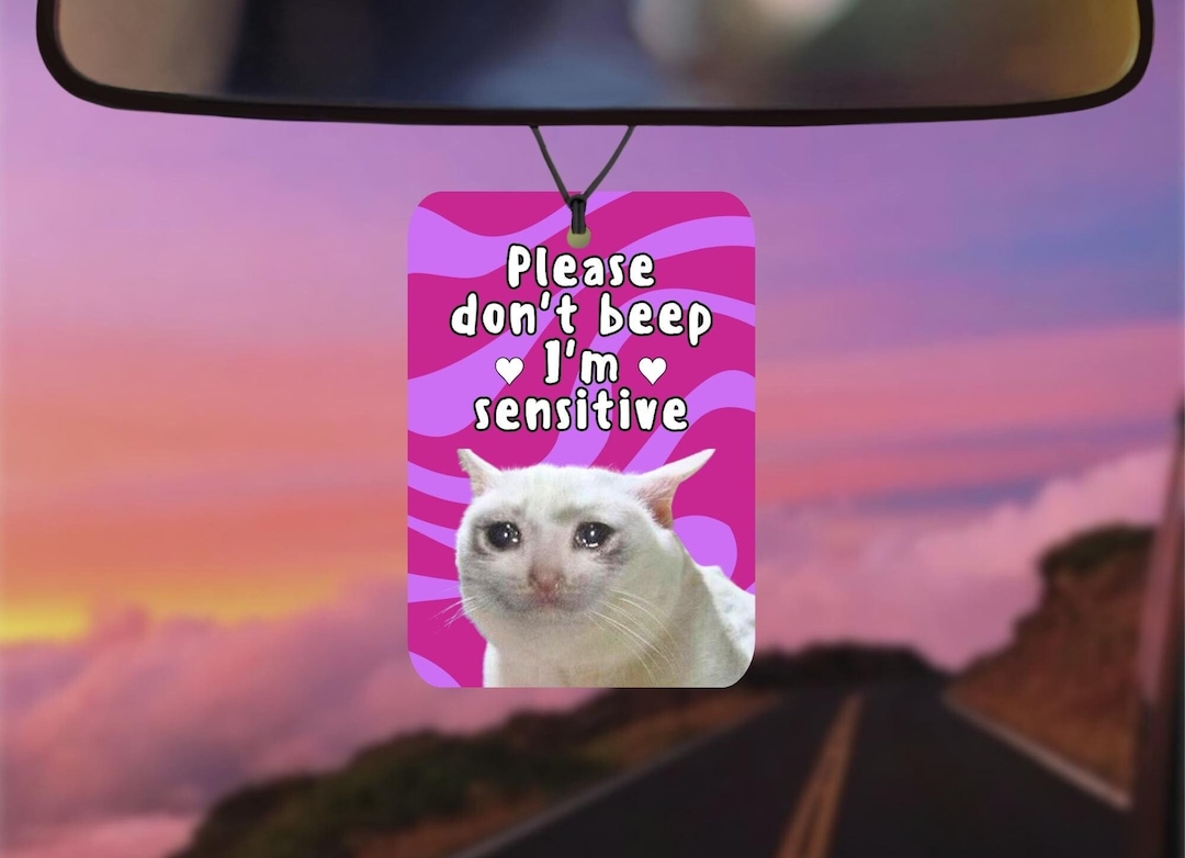 Please Don't Beep I'm Sensitive Crying Cat Meme Car Air Freshener | Car ...