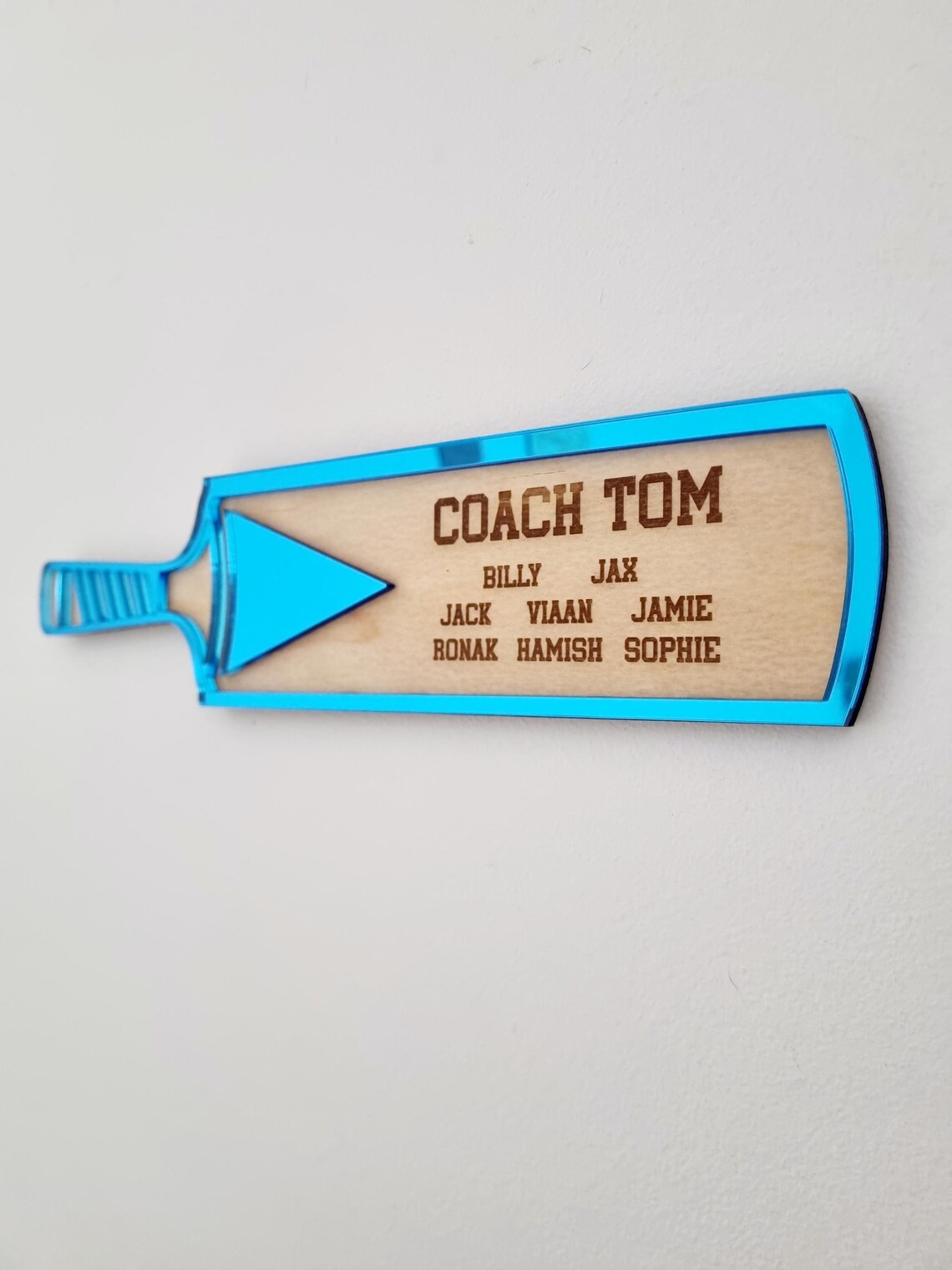 Cricket Bat Coach Plaque, Personalised Coach Gift, Cricket Lovers ...