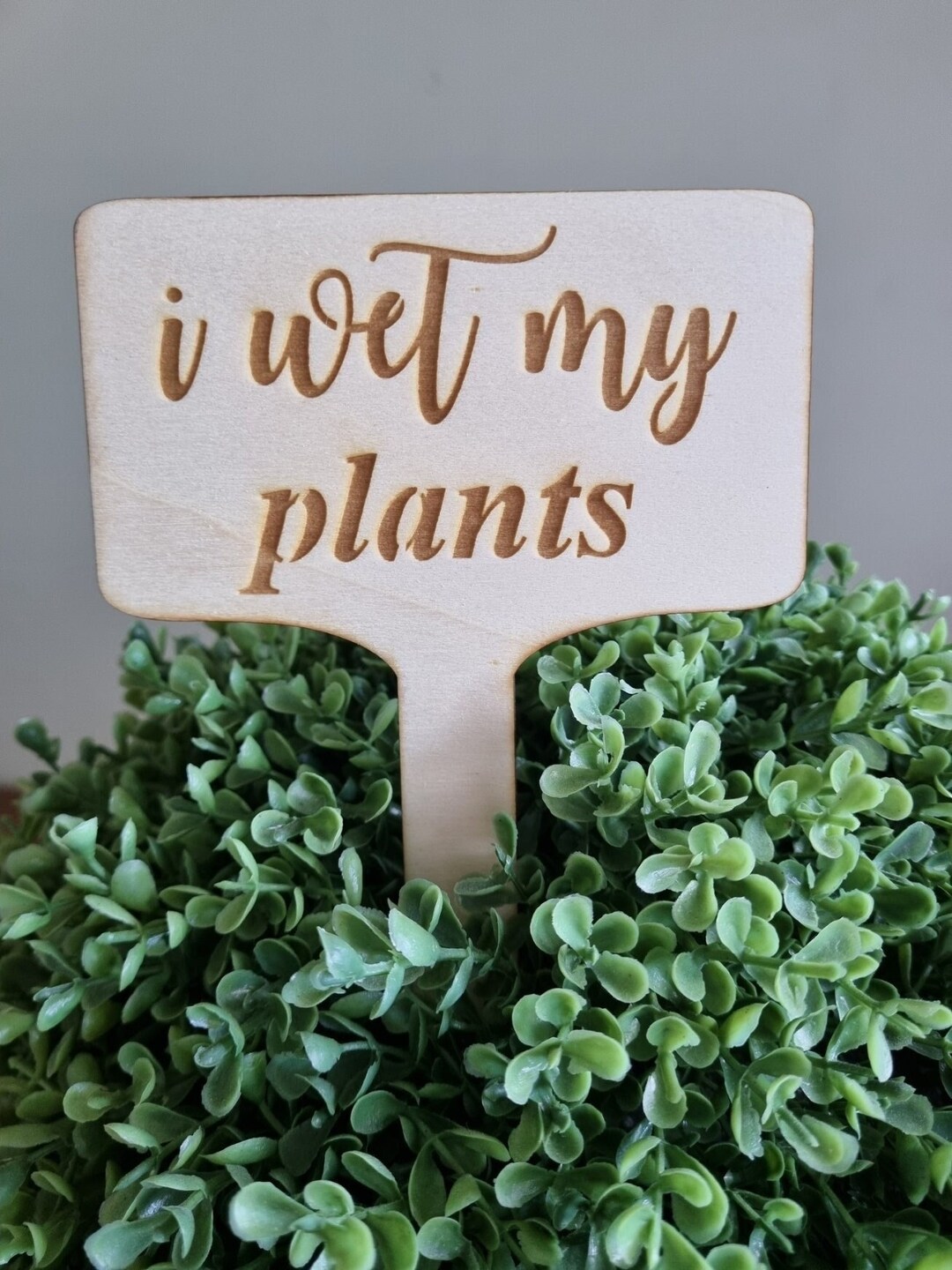 Vegetable Garden Signs Herb Garden Signs Funny Garden - Etsy