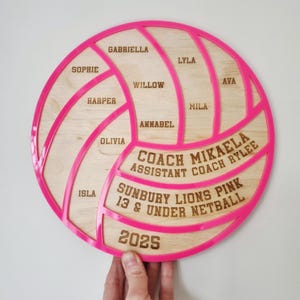 Personalised Netball Coach Plaque, Custom Netball Gift, End of Season ...