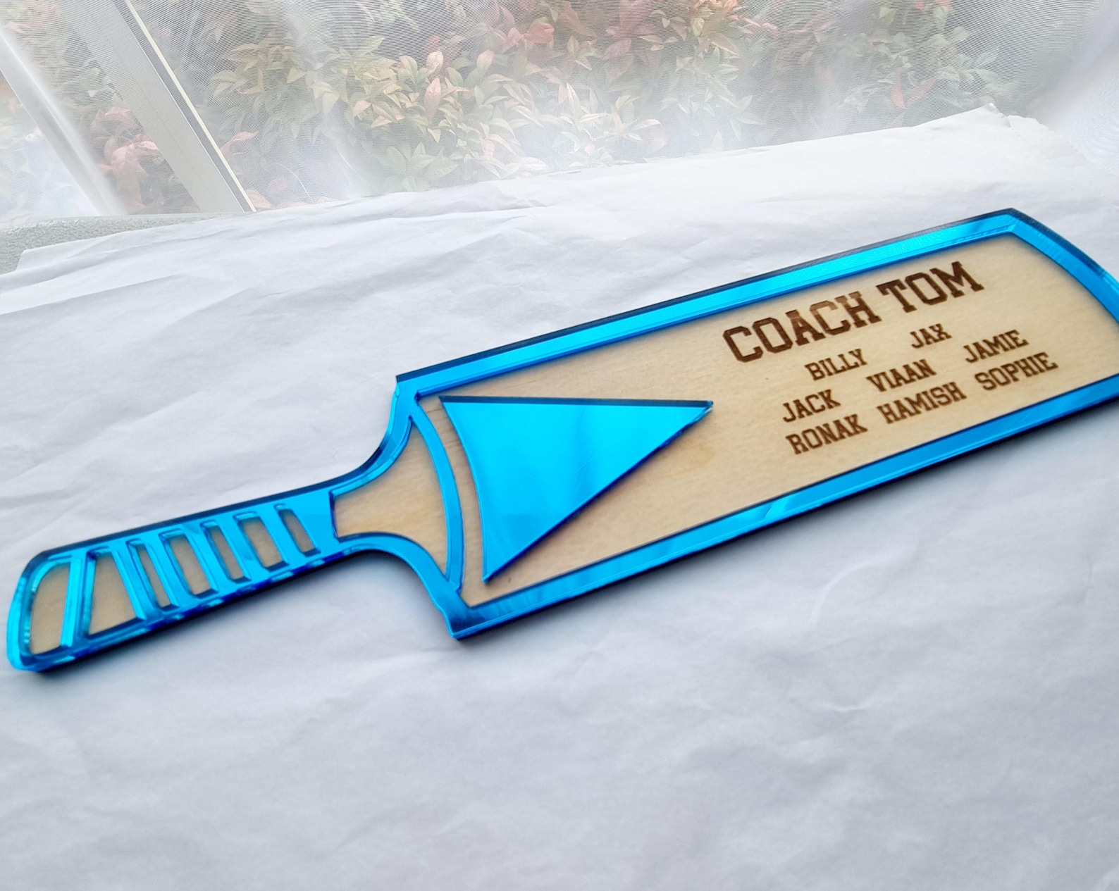 Cricket Bat Coach Plaque, Personalised Coach Gift, Cricket Lovers ...