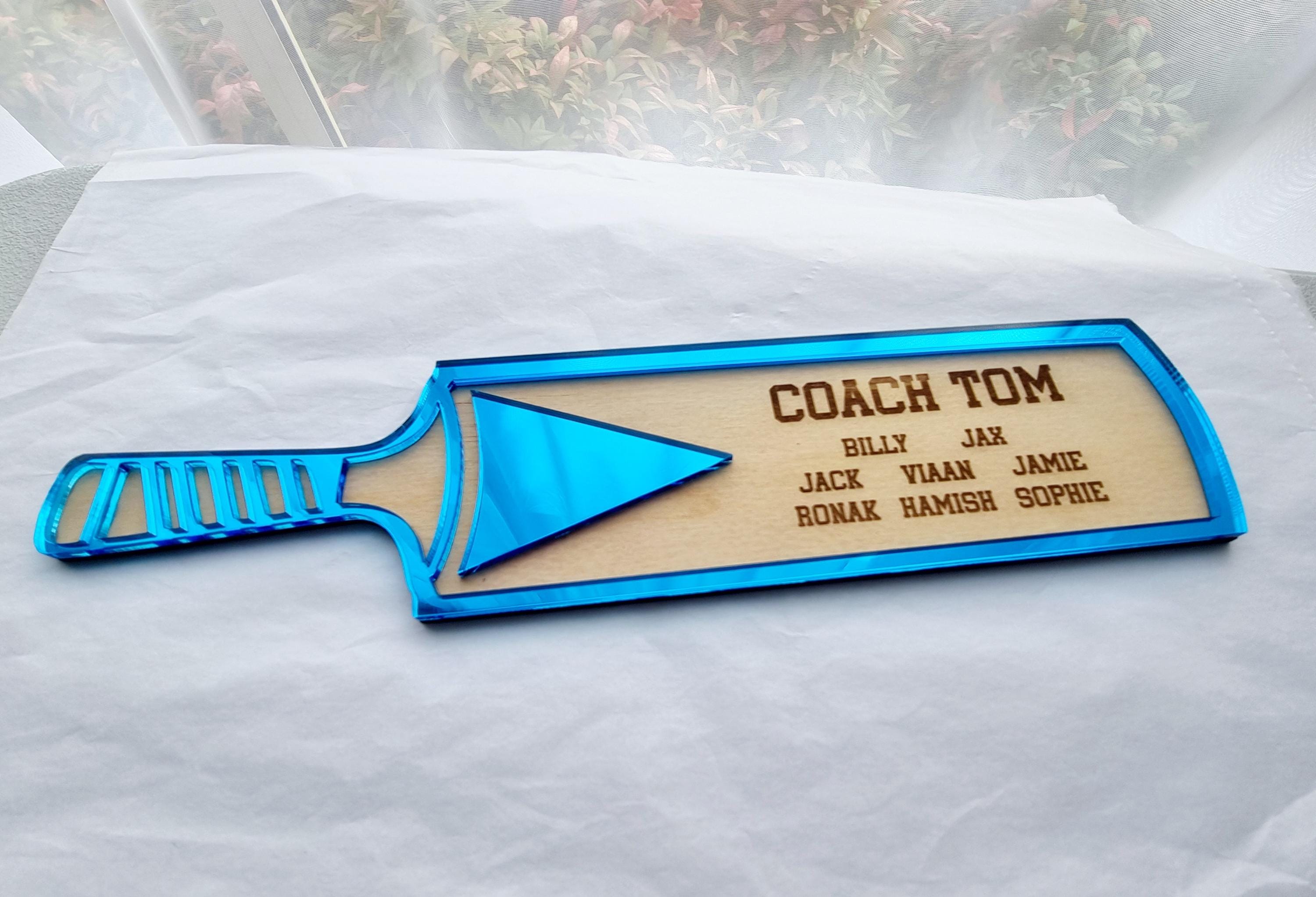 Cricket Bat Coach Plaque, Personalised Coach Gift, Cricket Lovers ...