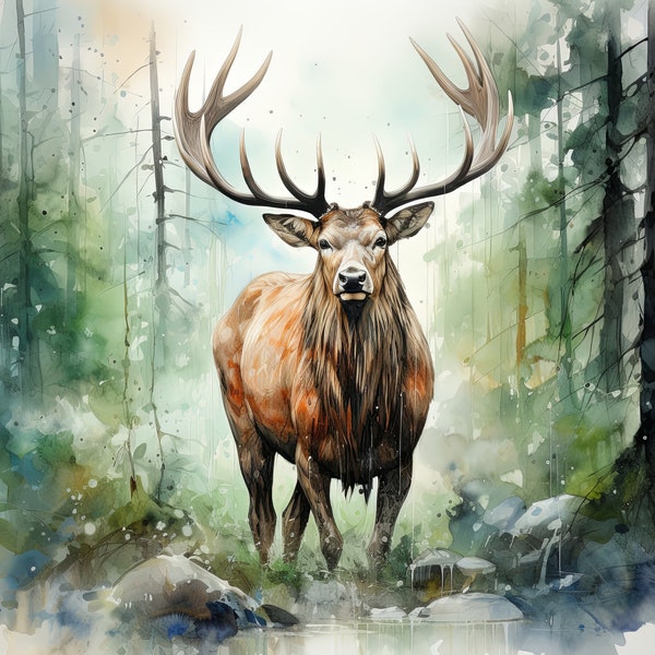 Elk Picture - Etsy