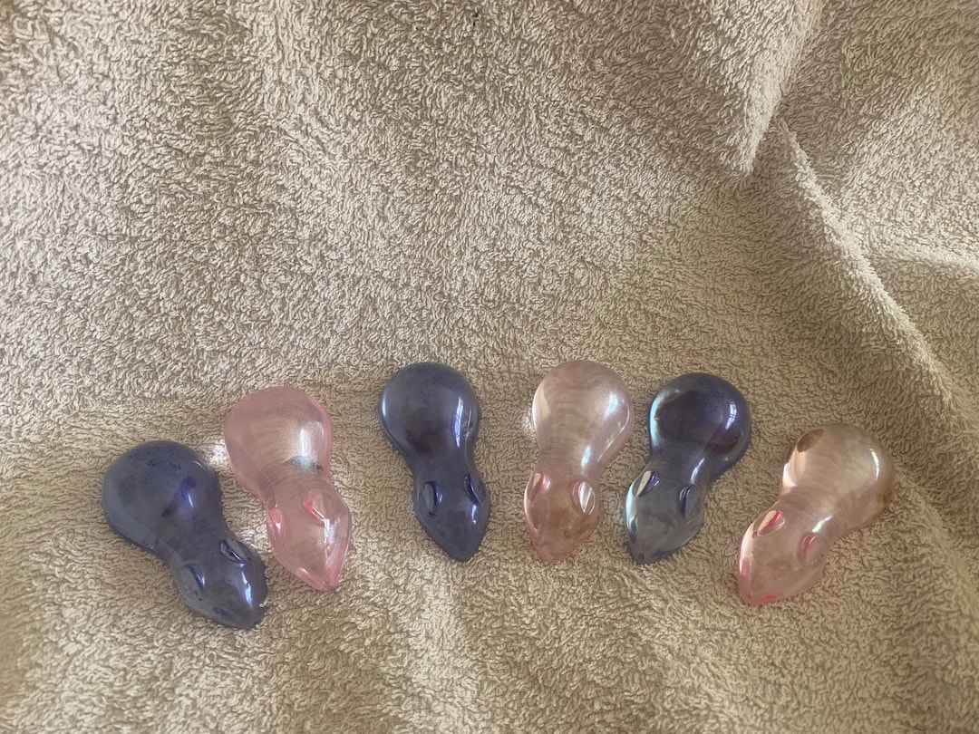 Resin Mice Containing Mouse Organs - Etsy