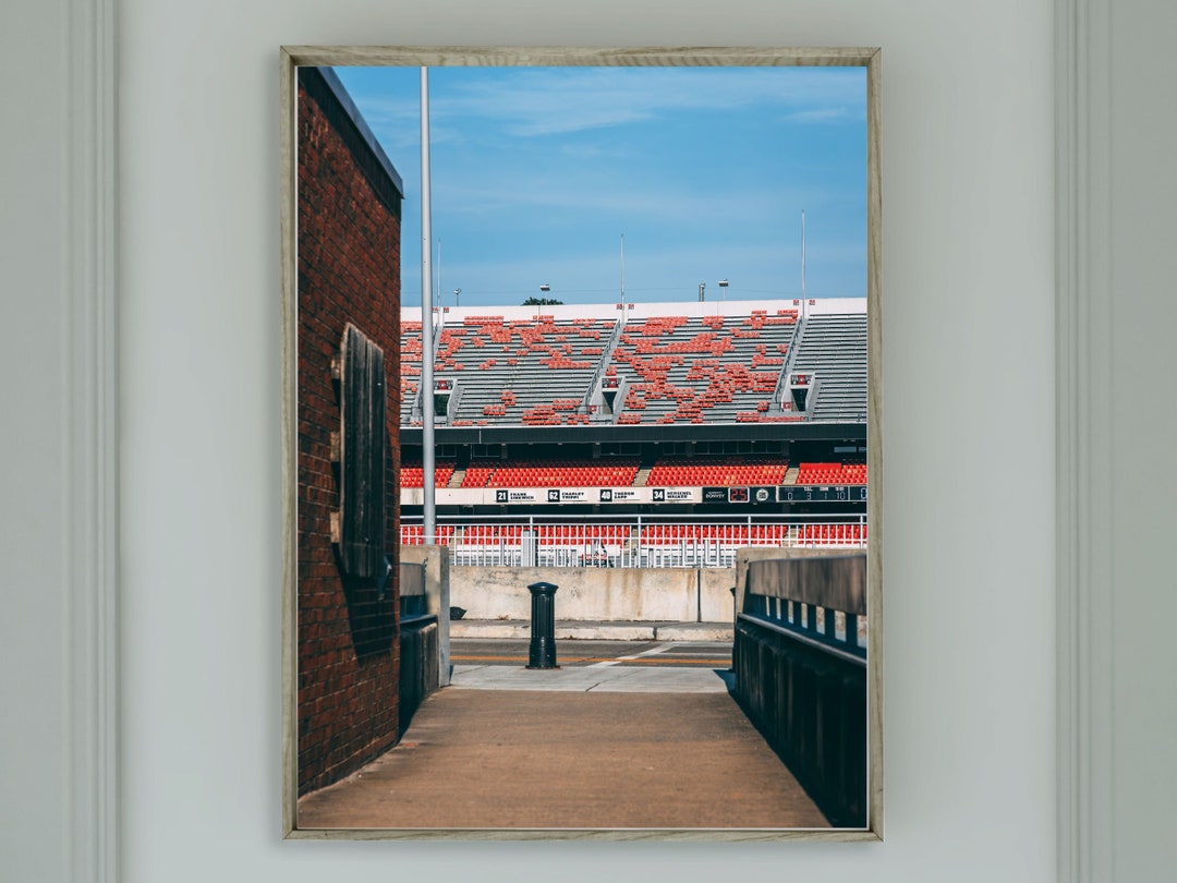 Sanford Stadium Photograph: UGA Wall Art, Athens Print (digital ...