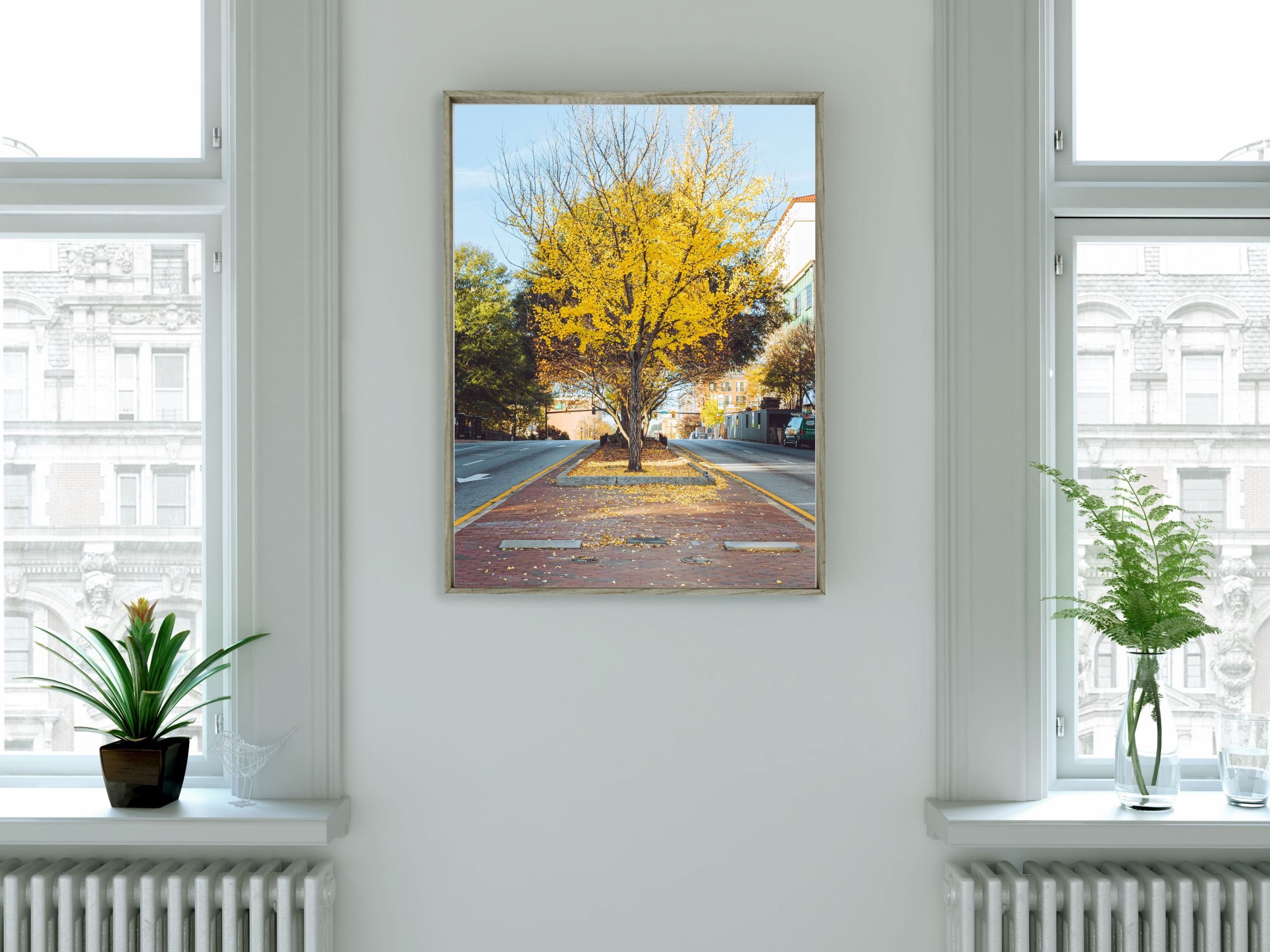 Athens Georgia Ginkgo Tree Printable Wall Art Downtown Athens Ga Photo ...