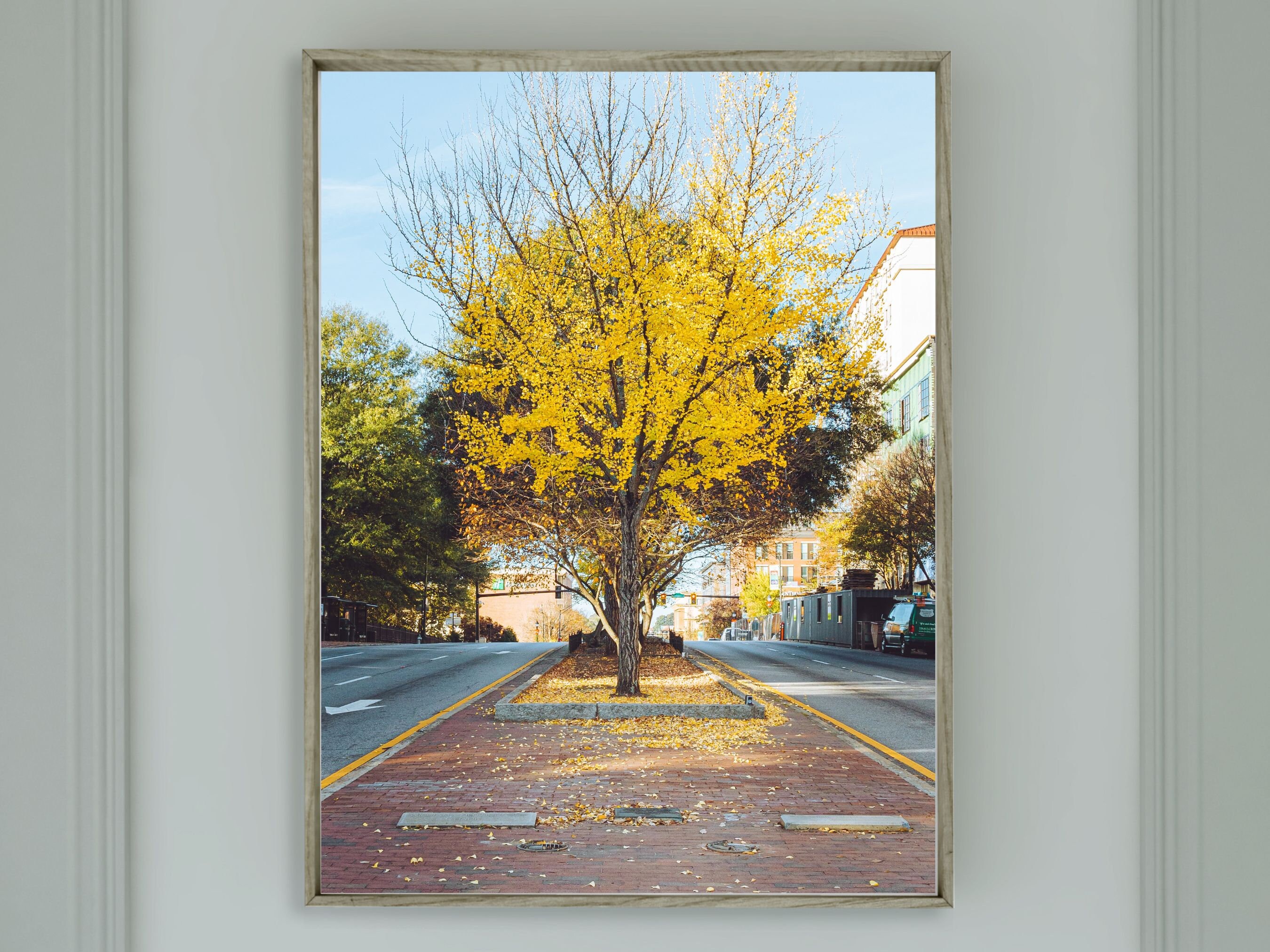 Athens Georgia Ginkgo Tree Printable Wall Art Downtown Athens Ga Photo ...