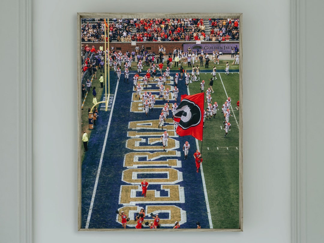 Georgia Bulldogs Photo Print UGA at Georgia Tech Bobby Dodd Stadium ...