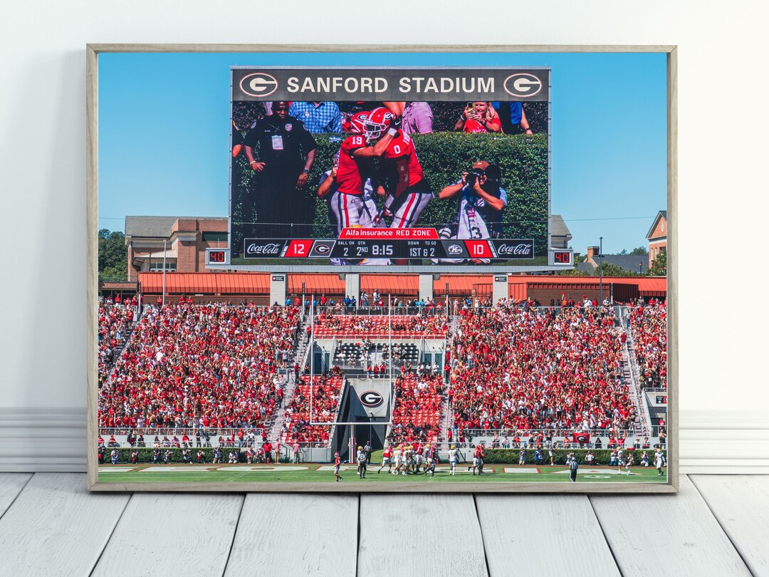 Georgia Football TD Celebration Digital Download Photobrock Bowers ...