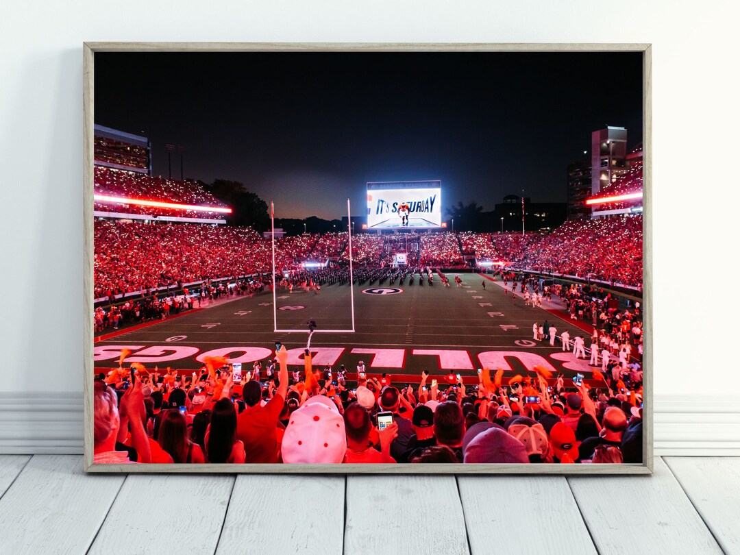 Georgia Bulldogs Night Game Photo UGA Football Light up Sanford Stadium ...