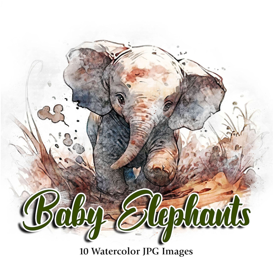 Watercolor Cute Baby Elephant Clipart Bundle Set of 10 High - Etsy