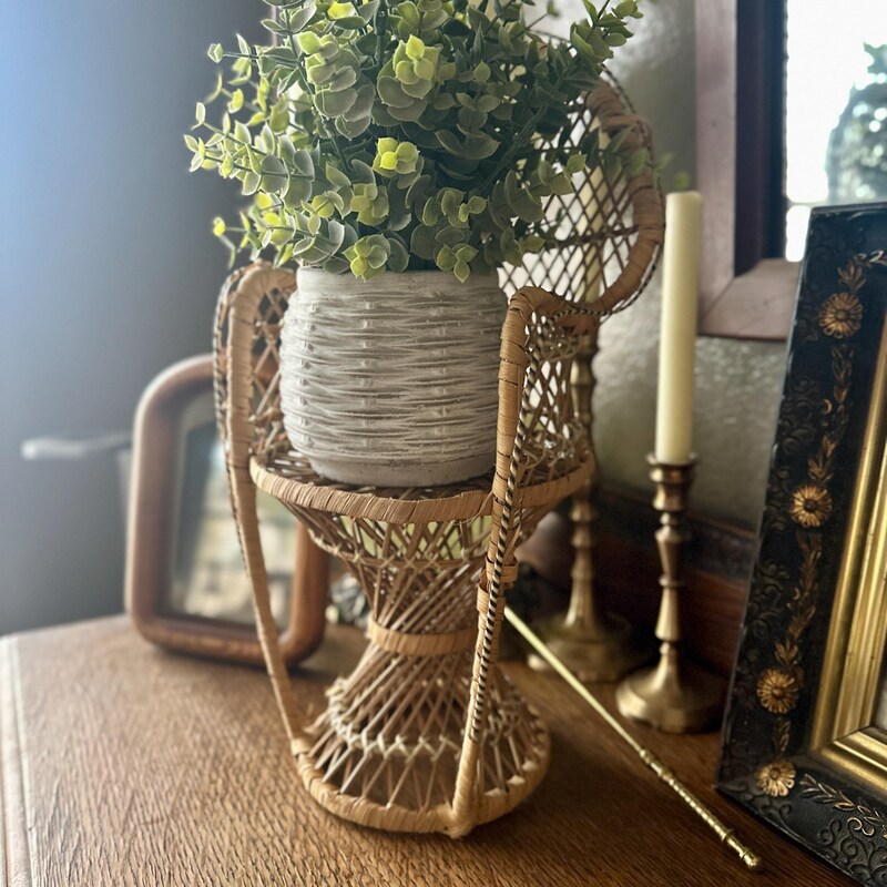 Peacock Chair - Etsy
