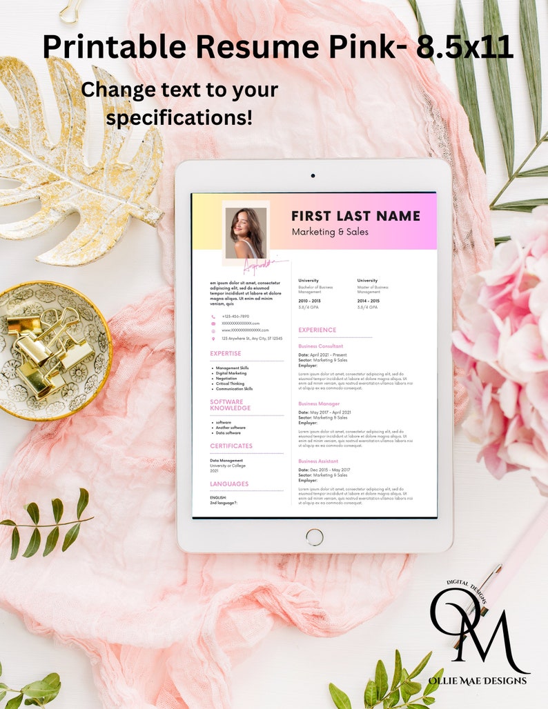 Modern Resume| Pink| Personalize| Printable - Etsy
