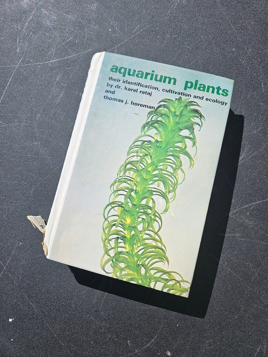 Aquarium Plants Their Identification Cultivation and Ecology - Etsy