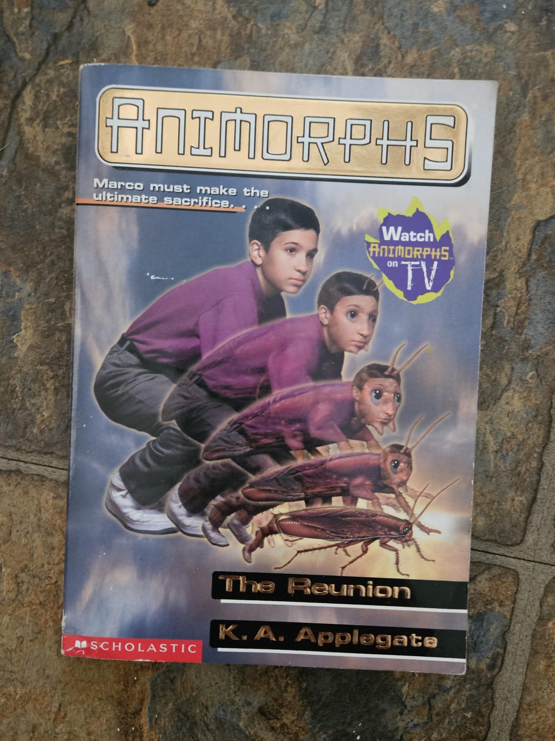 Animorphs the Reunion by K. A. Applegate Paperback Book Children's ...
