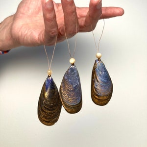 3 X Blue Mussel Shells Decor, Easter Tree, Decorations, Baubles ...
