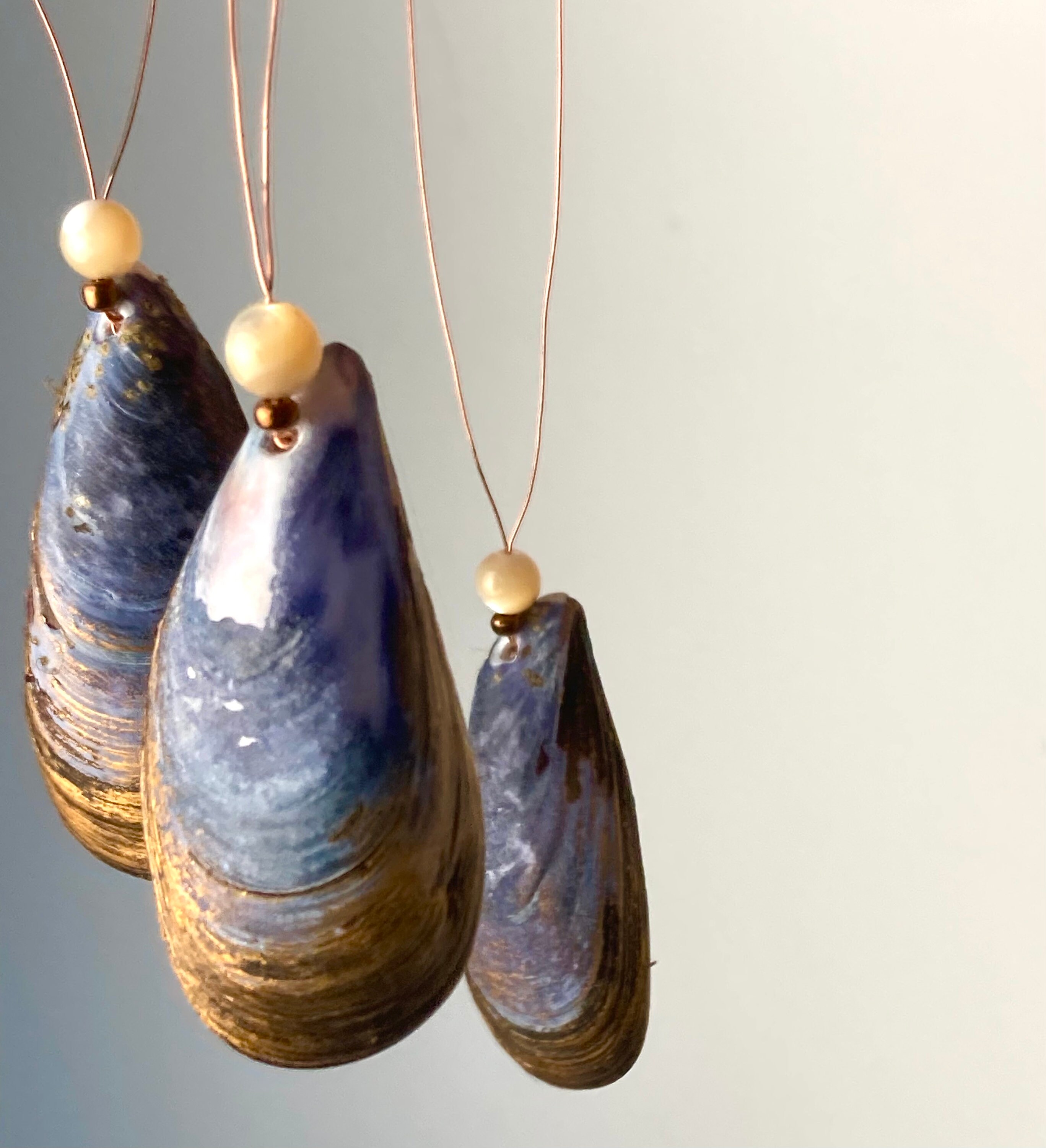 3 X Blue Mussel Shells Decor, Easter Tree, Decorations, Baubles ...