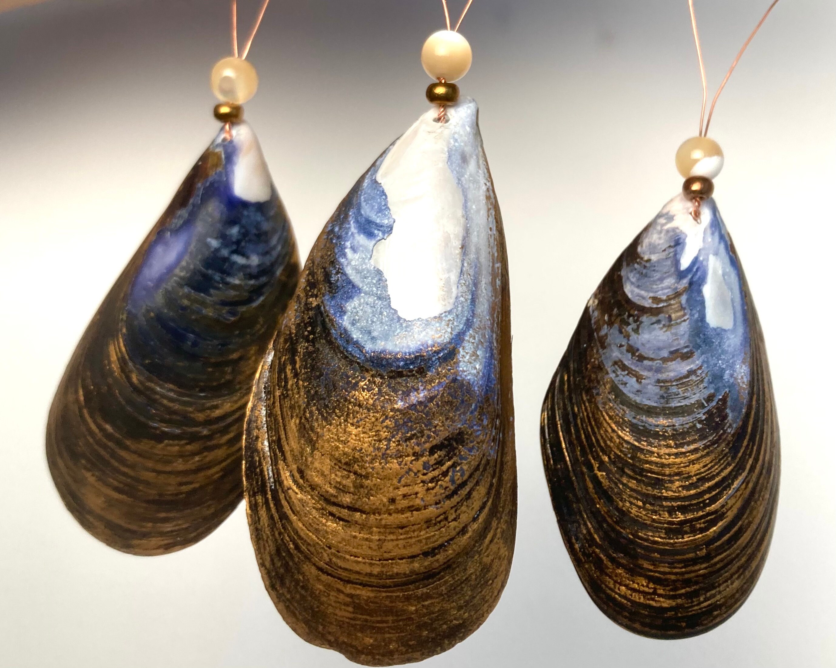 3 X Blue Mussel Shells Decor, Easter Tree, Decorations, Baubles ...