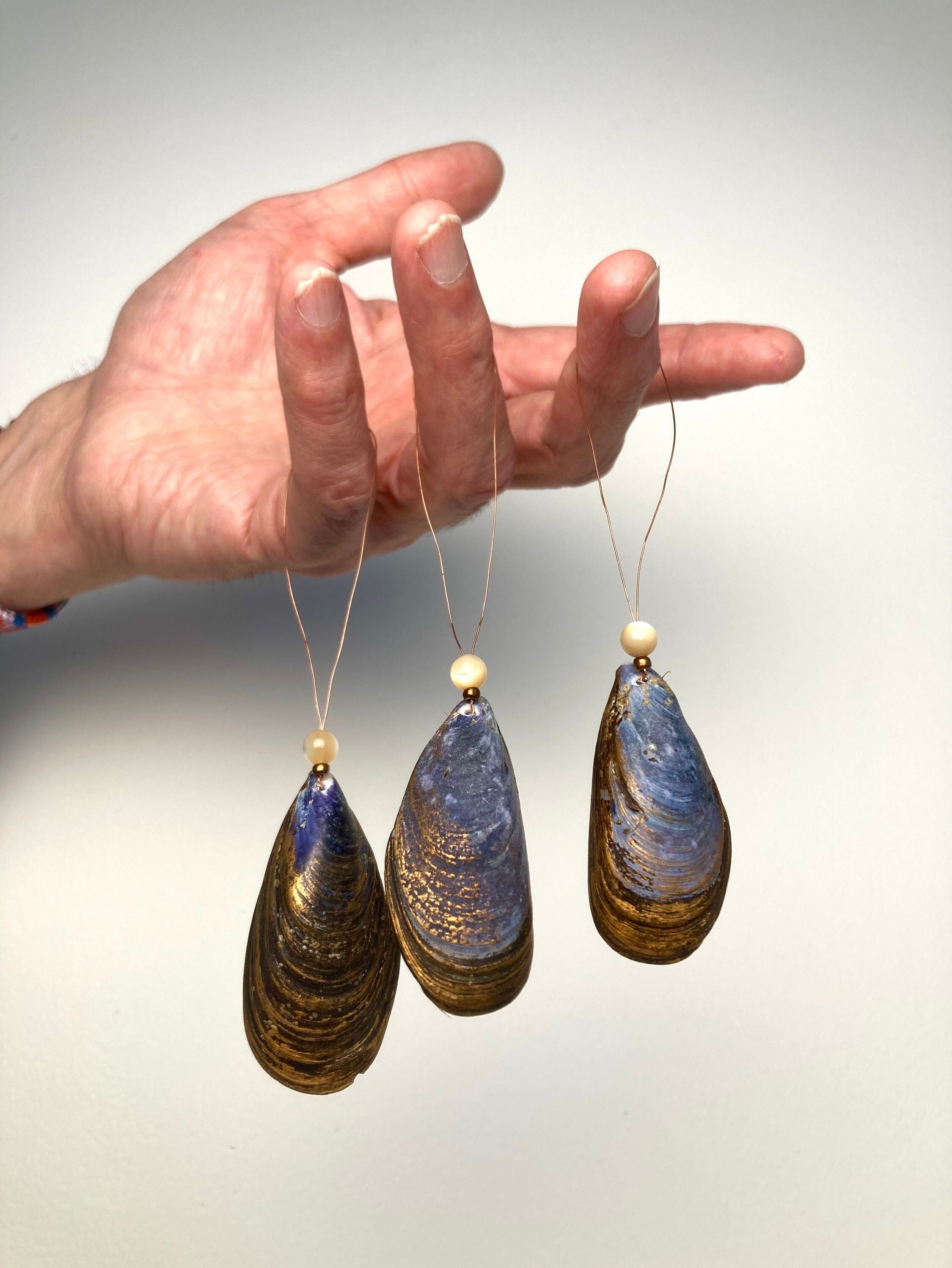 3 X Blue Mussel Shells Decor, Easter Tree, Decorations, Baubles ...