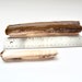 Razor Clam Shell Pairs Small Medium Large Cornish - Etsy