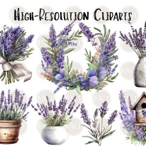 Lavender Flowers Watercolor Cliparts Garden Spring Floral Wildflower ...