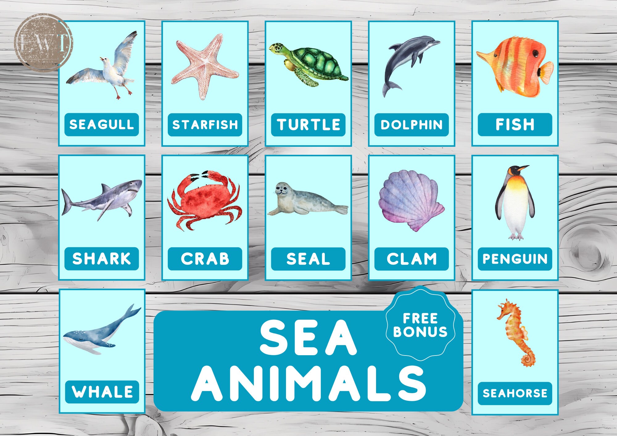 Sea Animals 14 Printable Montessori Cards, Sea Flashcards for Kids ...