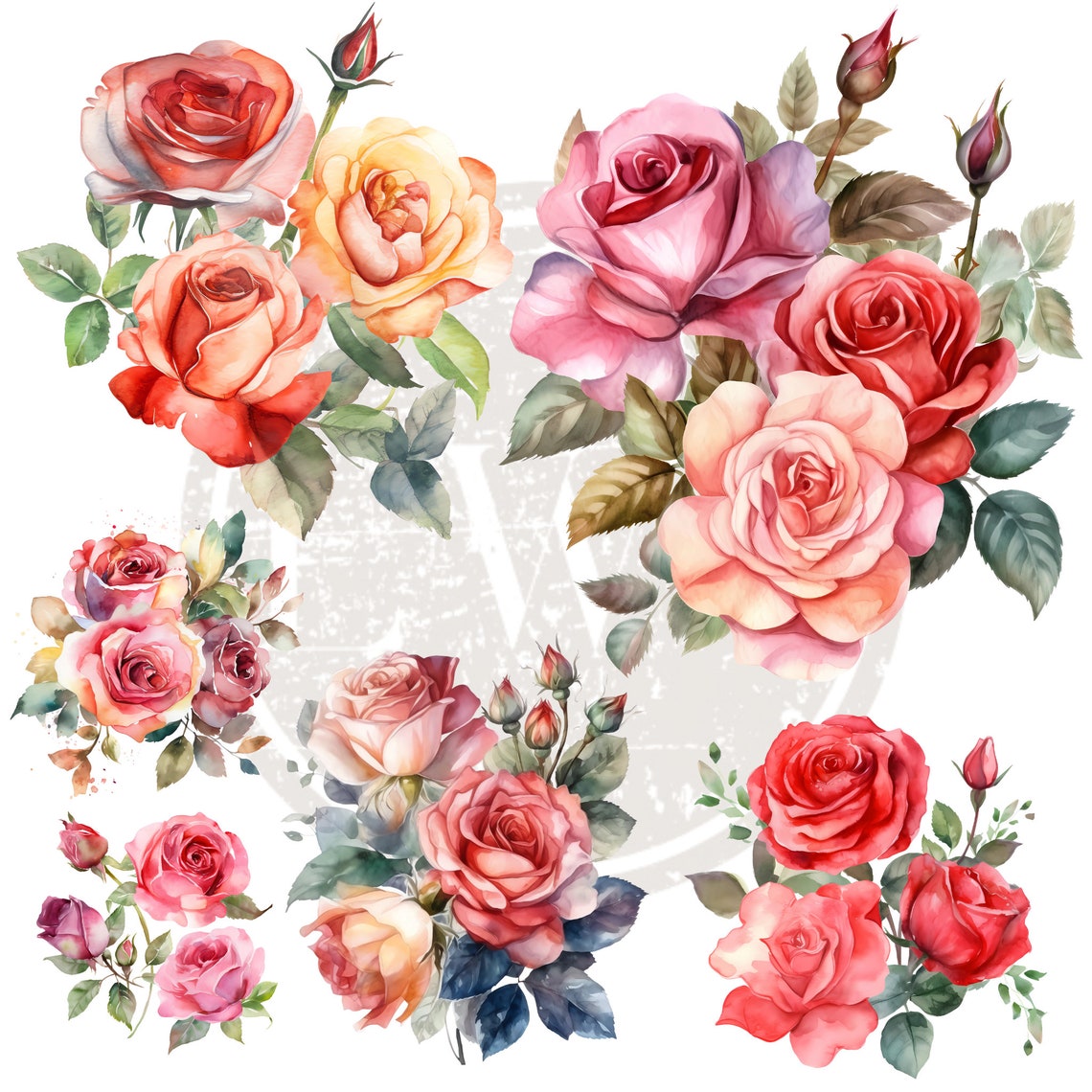 Watercolor Roses Clipart Bundle Roses Clipart Watercolor - Etsy