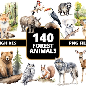 Woodland Animals Watercolor Clipart, Forest Animals Watercolor, Nursery ...