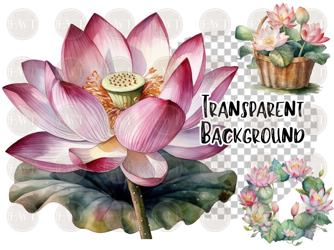 Watercolor Lotus Flowers Clipart Fall Lotus Floral Bouquets - Etsy