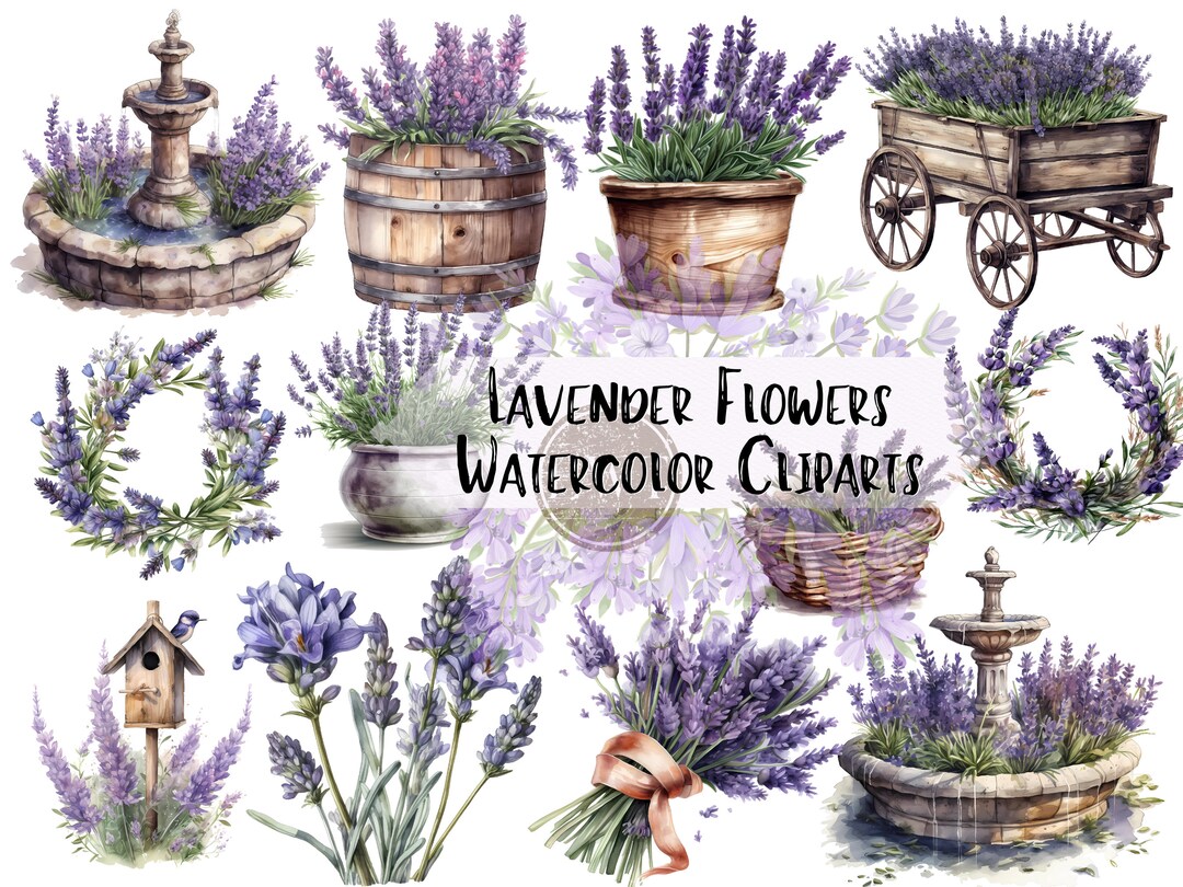 Lavender Flowers Watercolor Cliparts Garden Spring Floral Wildflower ...