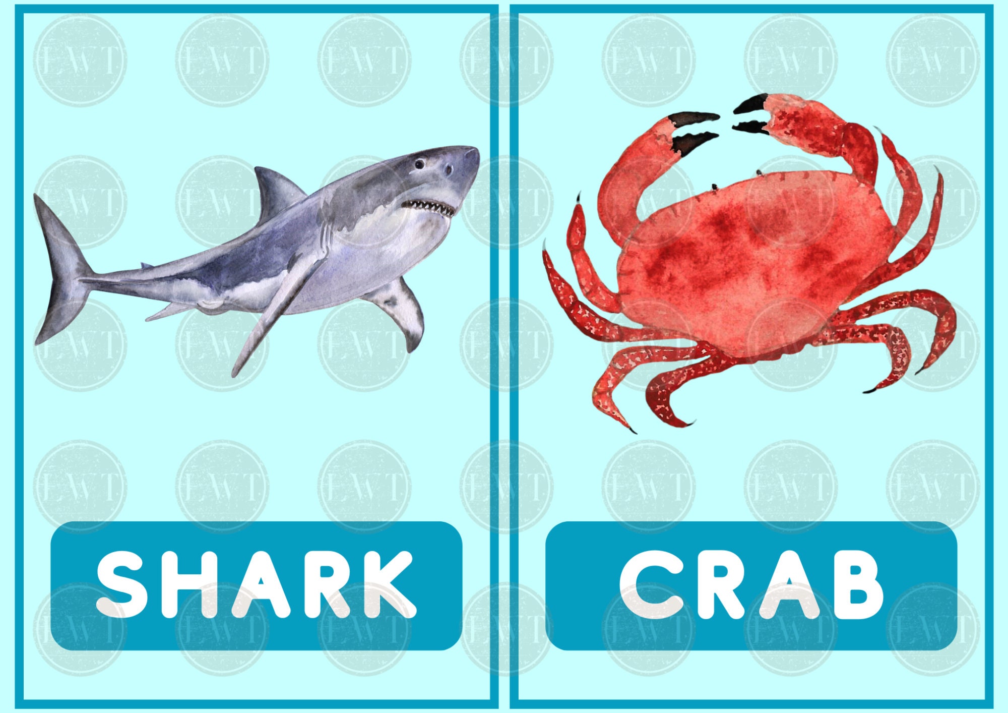 Sea Animals 14 Printable Montessori Cards, Sea Flashcards for Kids ...